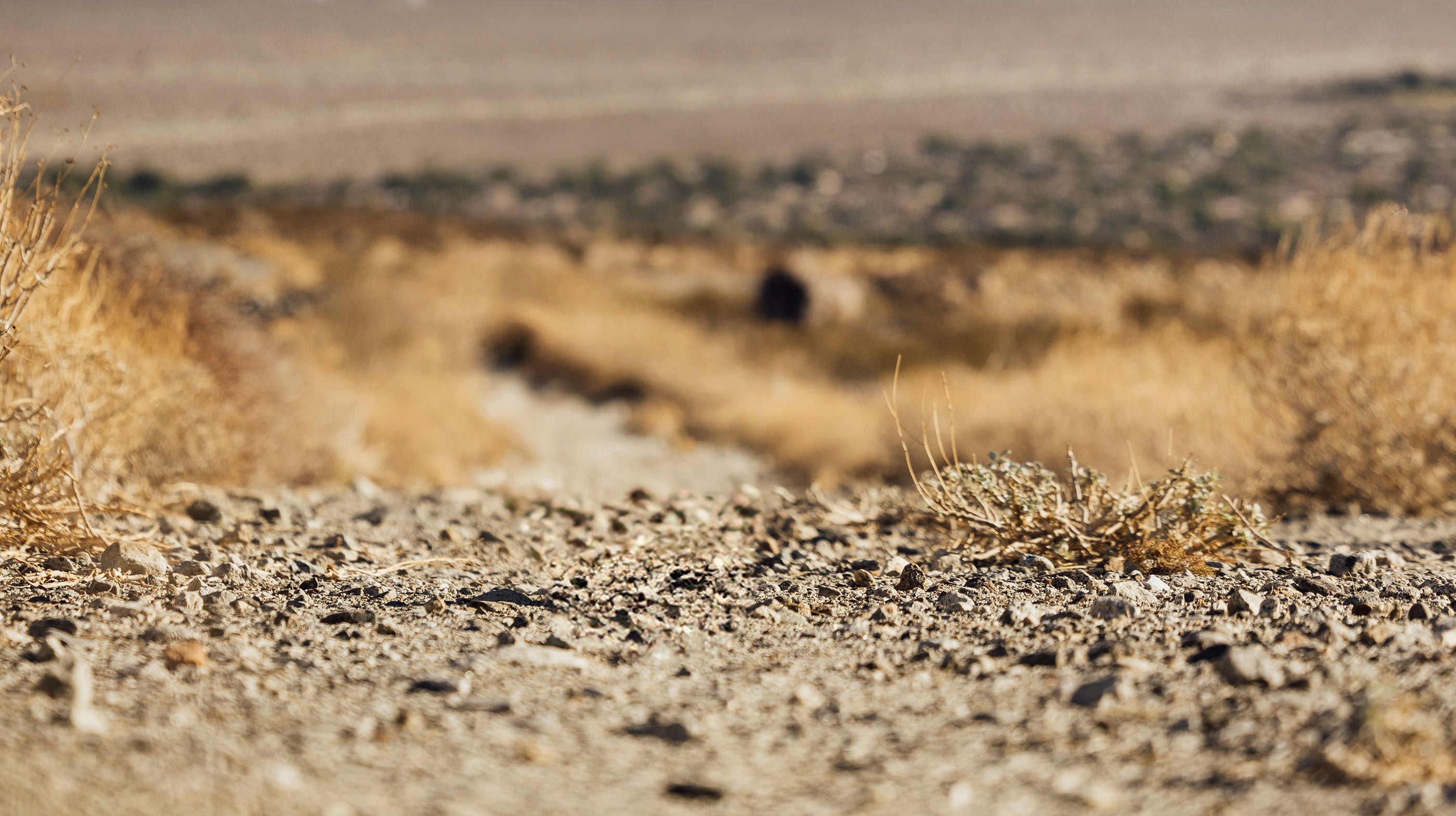 Your Eyes Deserve Better: The Kaenon Polarized Difference